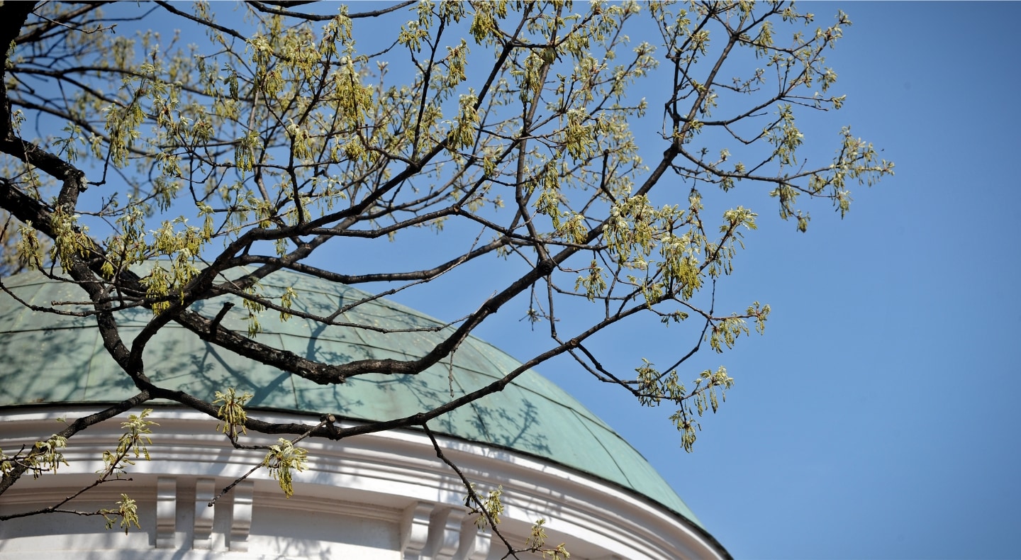 The Online Master’s in Biomedical and Health Informatics - UNC Online